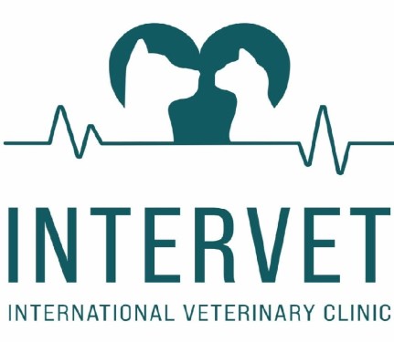 Intervet Veterinary Clinic (Pet Clinics and Hospitals) in Dubai | Get ...