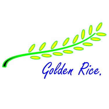 Golden Rice Foodstuff Trading CO LLC (Food Distributors) in Dubai | Get ...