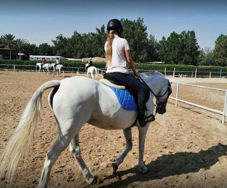 European Equestrian Academy (Horse Riding Academies) in Dubai | Get ...