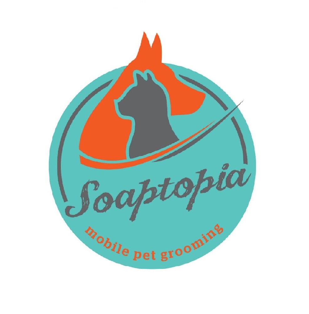 Soaptopia (Pet Grooming Center) in Dubai | Get Contact Number, Address ...
