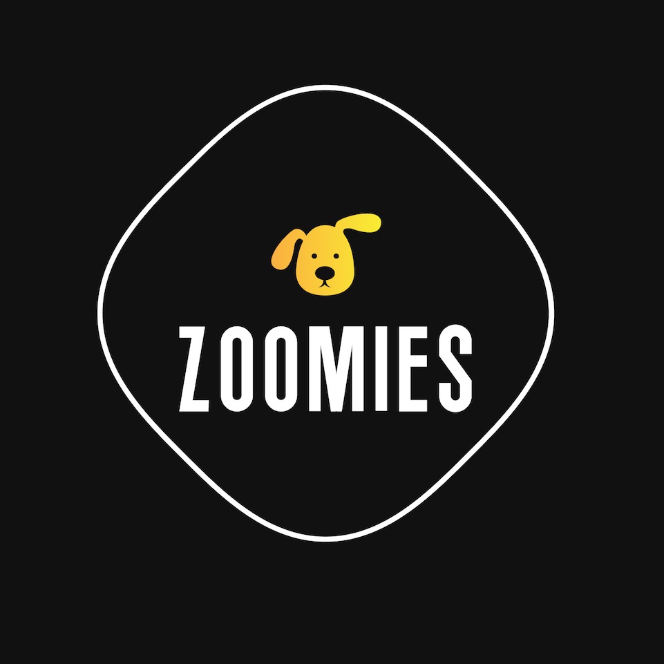 Zoomies Dog Daycare (Pets Sitter) in Al Quoz | Get Contact Number ...