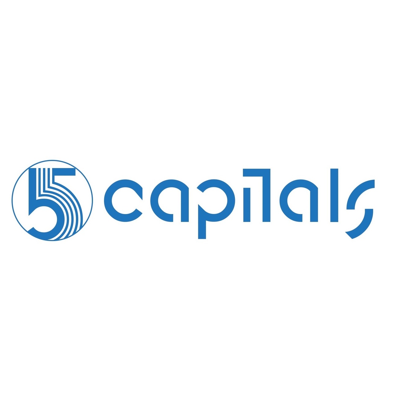 5 Capitals Environmental & Management Consulting (Environmental ...