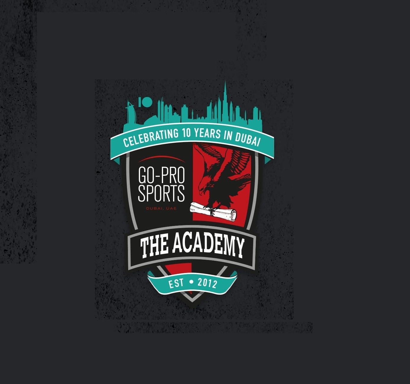 Go-Pro Sports Football Academy (Soccer Clubs) in Dubai | Get Contact ...