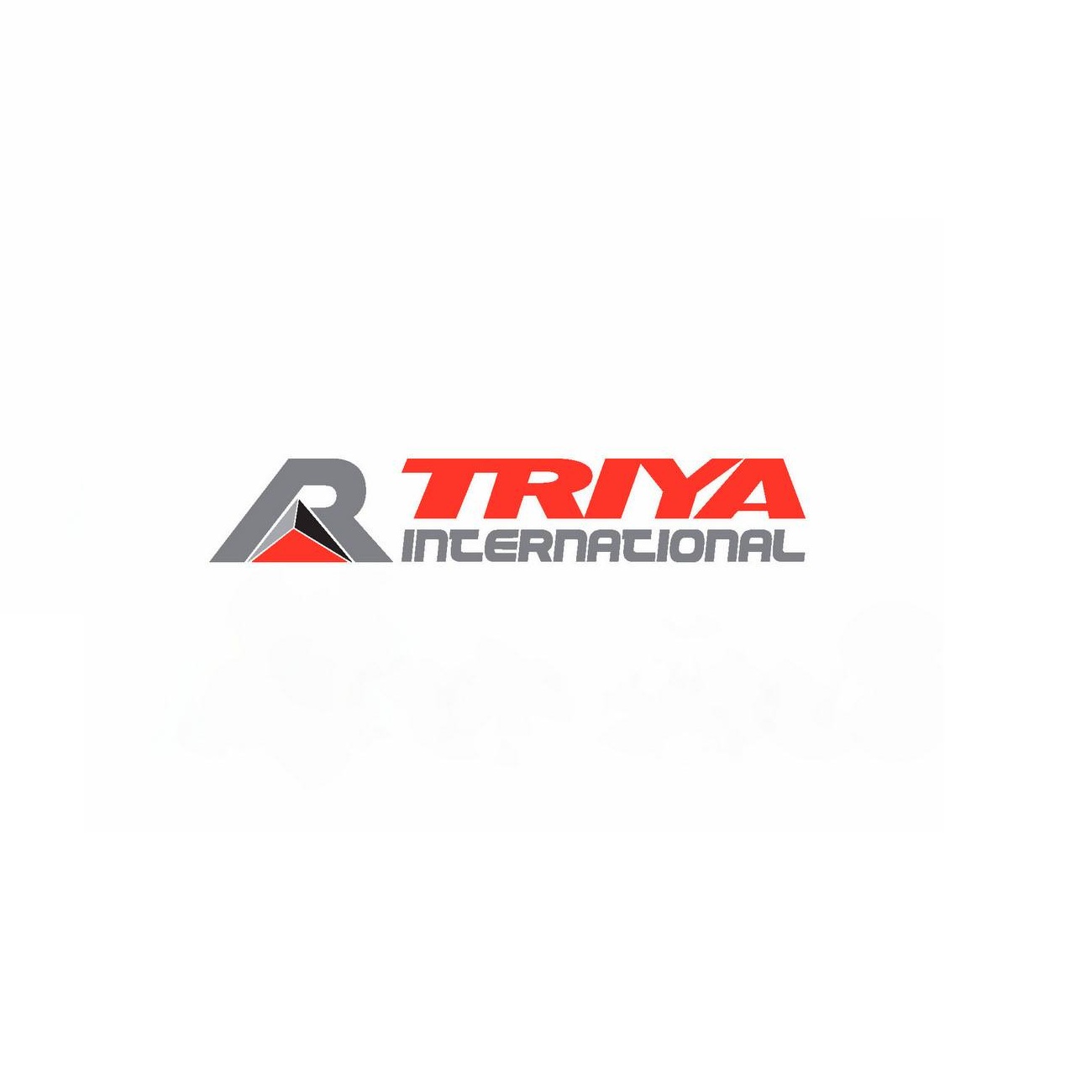 Triya Intl Gen Trdg LLC (Social Services Organizations) in Deira | Get ...