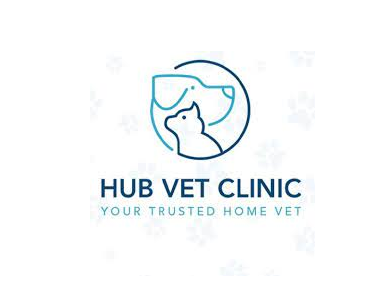 Hub Vet Clinic (Veterinary Doctor) in Sharjah | Get Contact Number ...