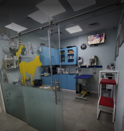 Provet Veterinary Clinic (Pet Clinics and Hospitals) in Deira | Get ...