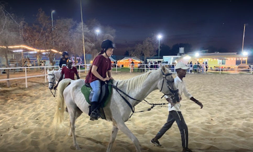 LAST LOOP STABLE (Horse Riding Academies) in Dubai | Get Contact Number ...