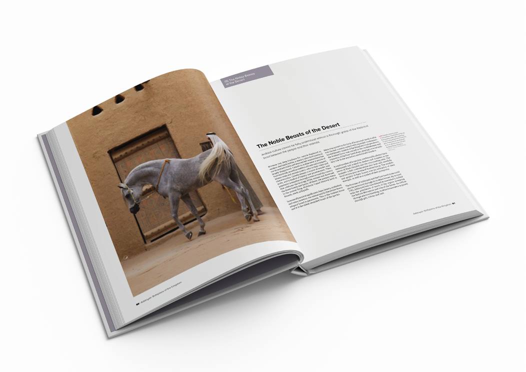 Frank Brands (Graphic Designer ) in Palm Jumeirah | Get Contact Number ...