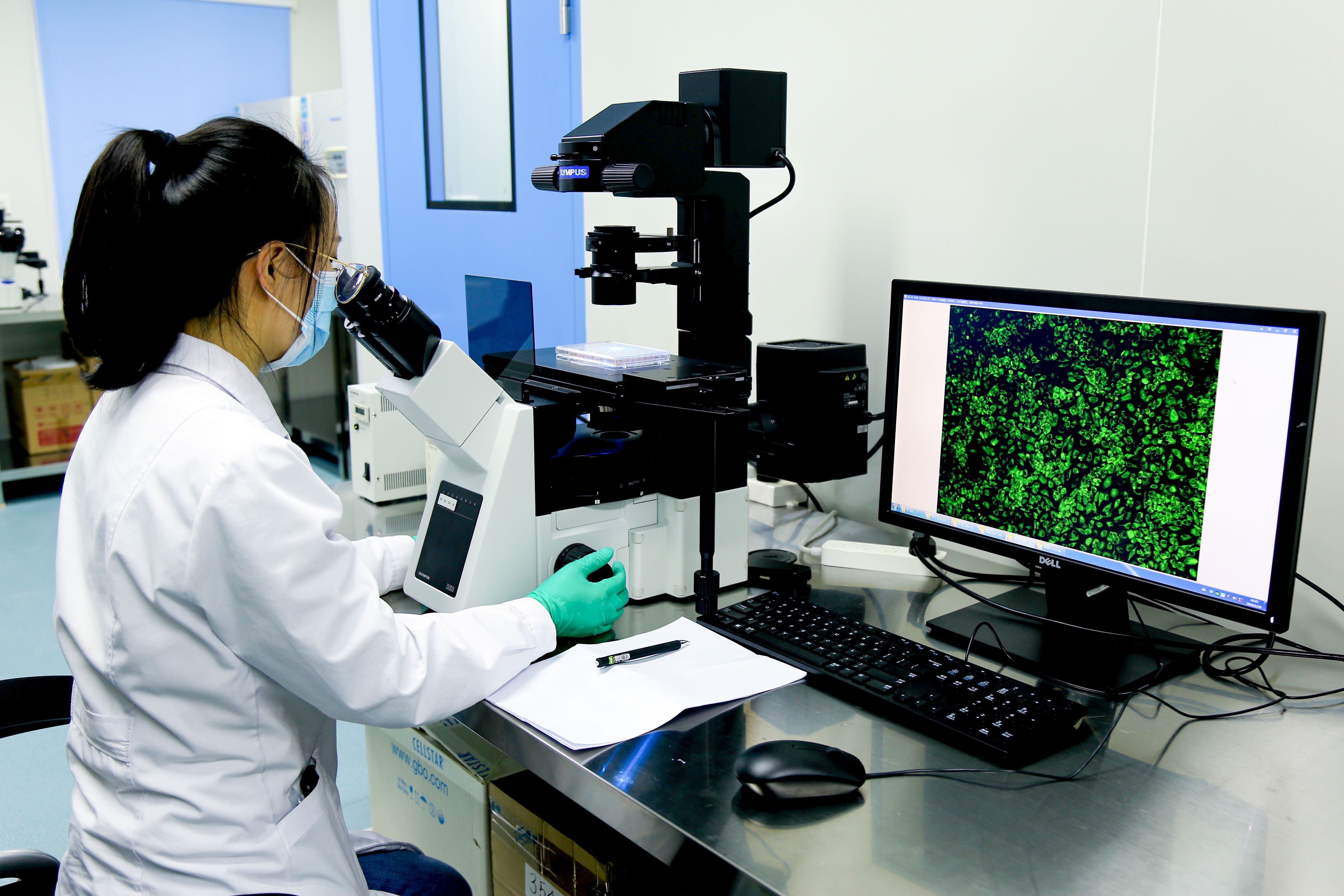 Computer Peripheral Services(CPS) (Hardware and software support) in Al ...