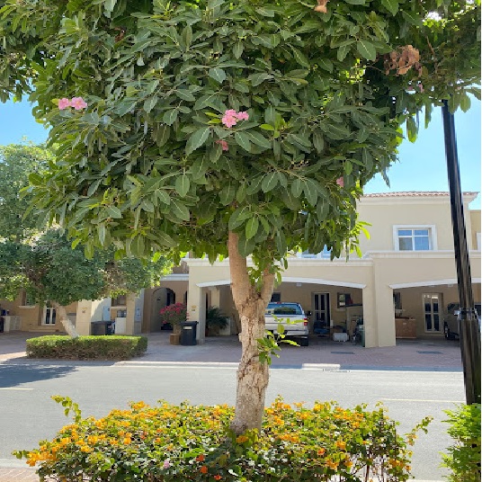 Smart Police Station SPS - Arabian Ranches (Civil Police) in Dubai ...