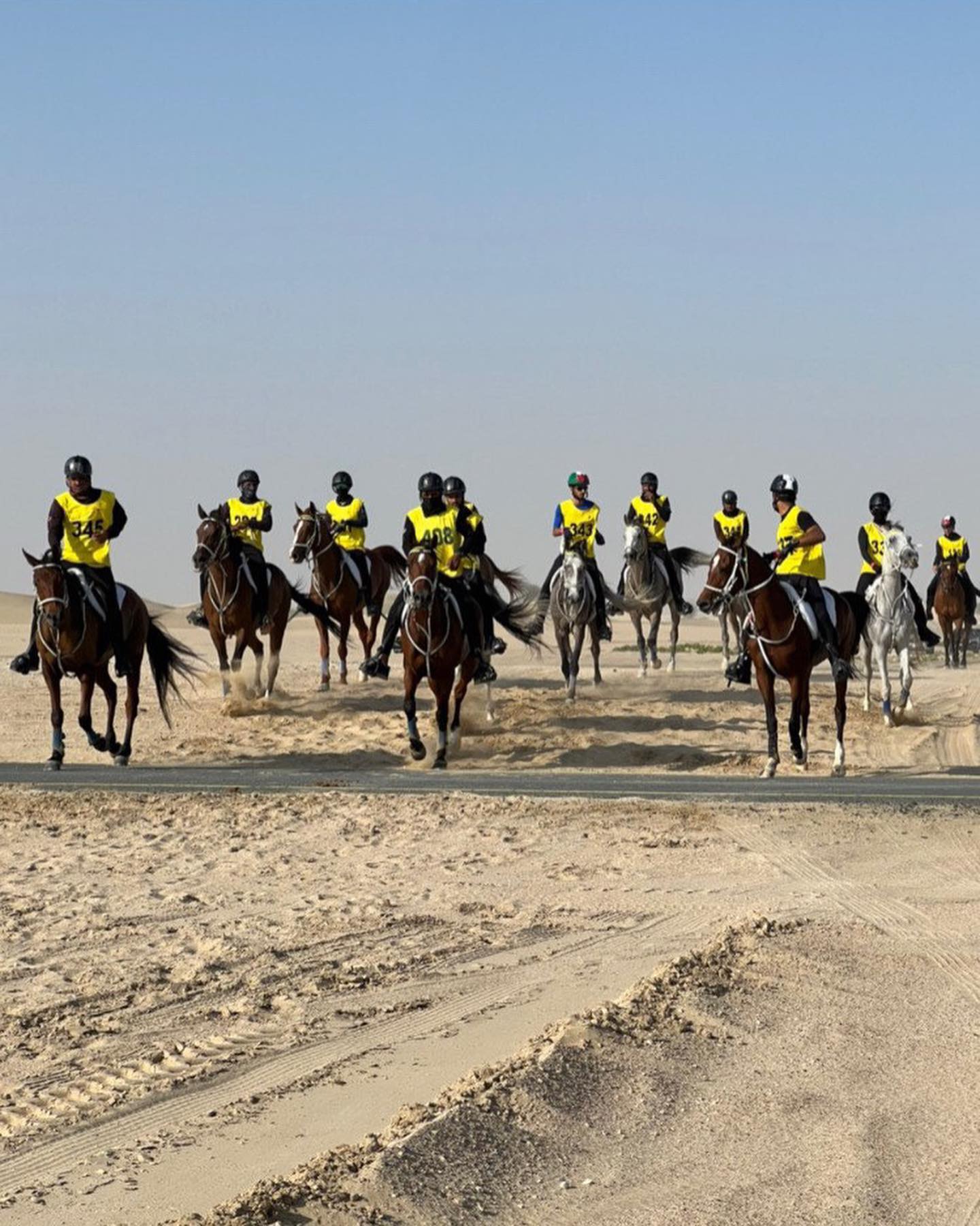 Al Aryam Stable (Horsestable Studfarms) in Dubai | Get Contact Number ...