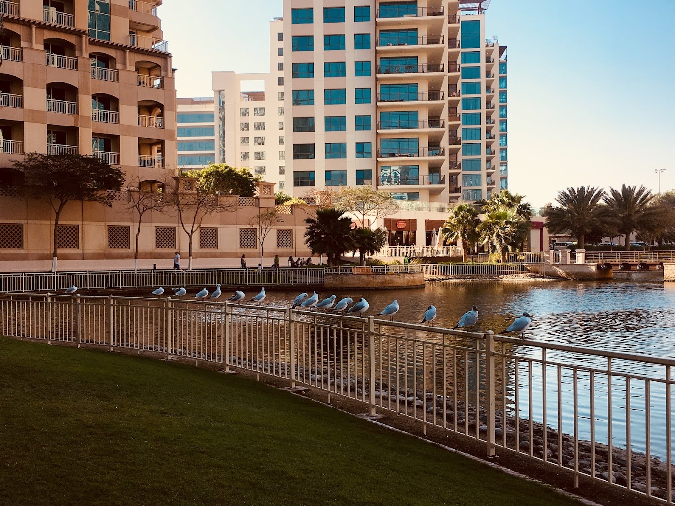 Emirates Living (Condominium Complexes) in Dubai | Get Contact Number ...