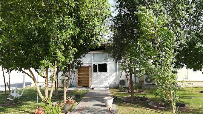 Barashi Mosque (Mosques) in Sharjah | Get Contact Number, Address ...