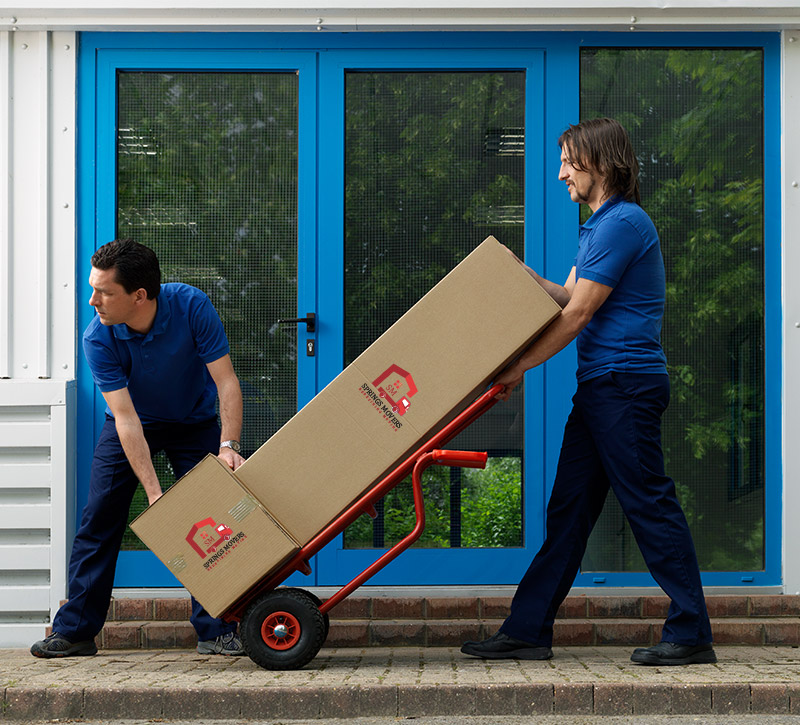 Springs Movers (Movers & packers ) in Sharjah | Get Contact Number ...