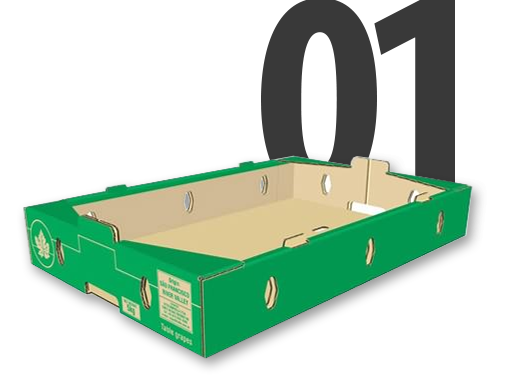 Astron Packaging Industry FZ-LLC (Packaging Companies) in Dubai | Get ...